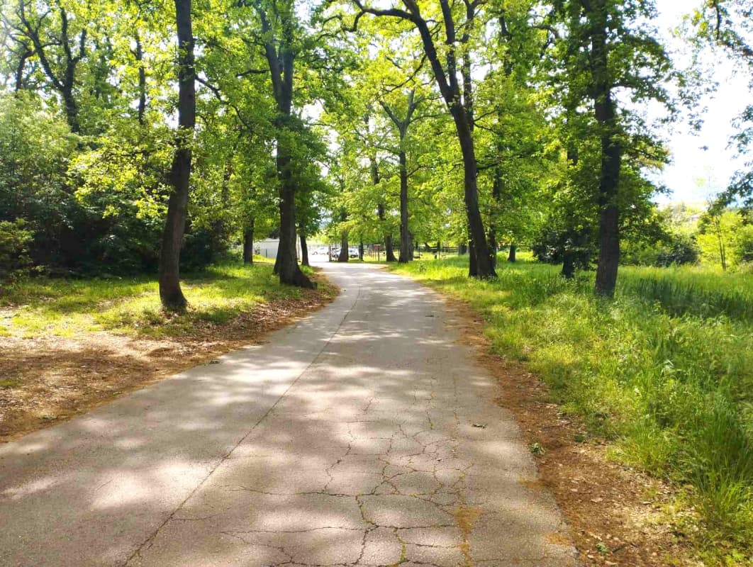 Od Šišanske ceste do Doma Vila Maria postavit će se javna rasvjeta ...