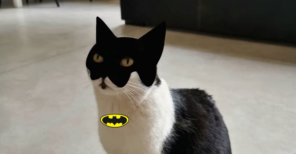 (FOTO/VIDEO) Nije Bruce Wayne, ali je Batman: Maca koja je osvojila ...