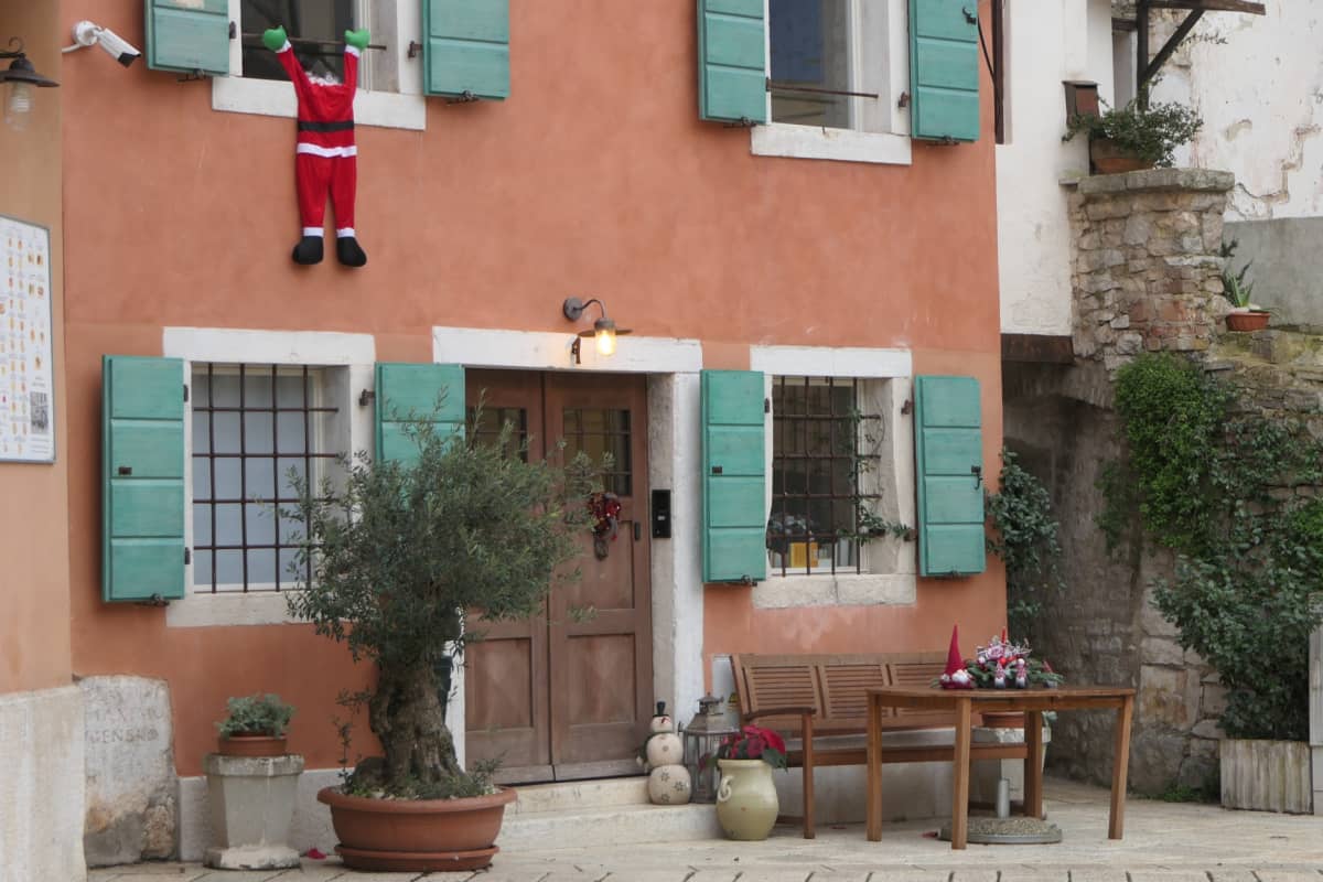 (FOTO) FAŽANA MOŽDA I SPAVA ZIMSKI SAN, ali svako toliko proviri barem ...