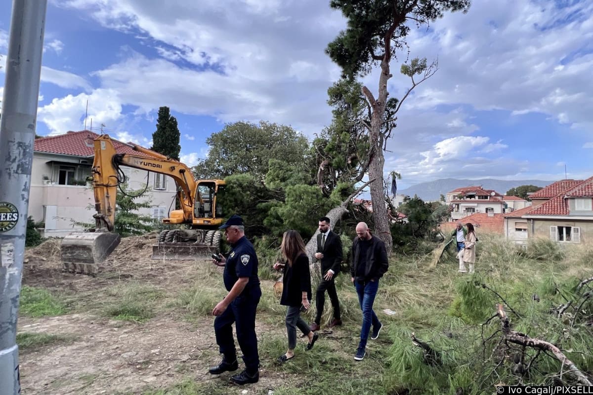 BORBA ZA POSLJEDNJE STABLO Splitski dogradonačelnik Bojan Ivošević ...