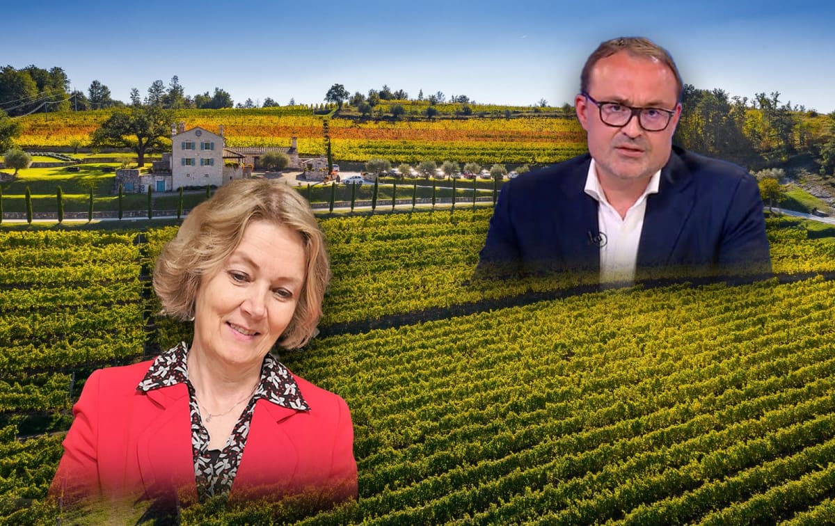 NEMA GRADNJE U MOMJANSKIM VINOGRADIMA Grad Buje odustao od širenja ...