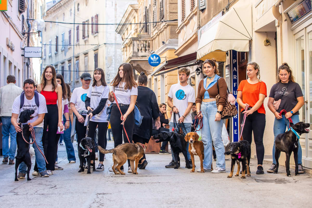 (FOTO GALERIJA) IZVELI PSE U GRAD NA MALU DOZU MAŽENJA I PAŽNJE U ...