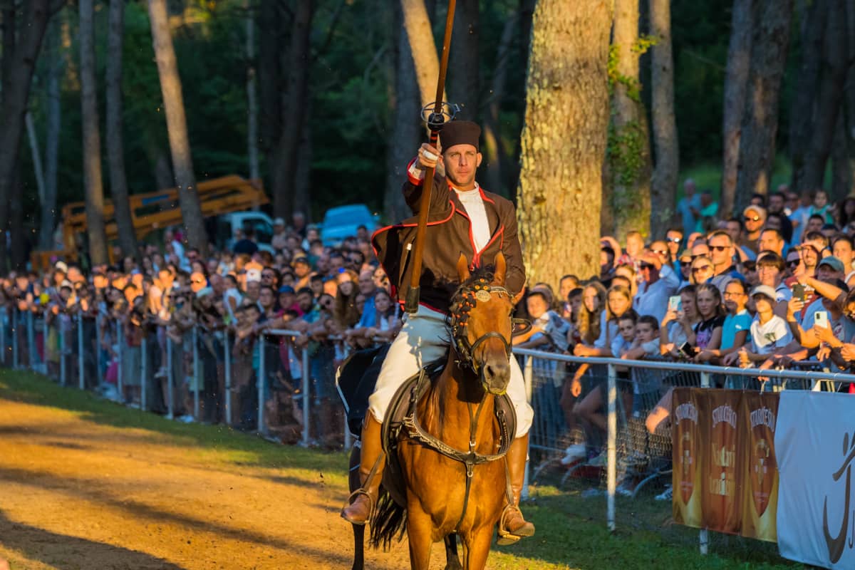 DANIEL BROSKVAR: 'Čuti cilo Gradišće kako plješće i izvikuje moje ime ...