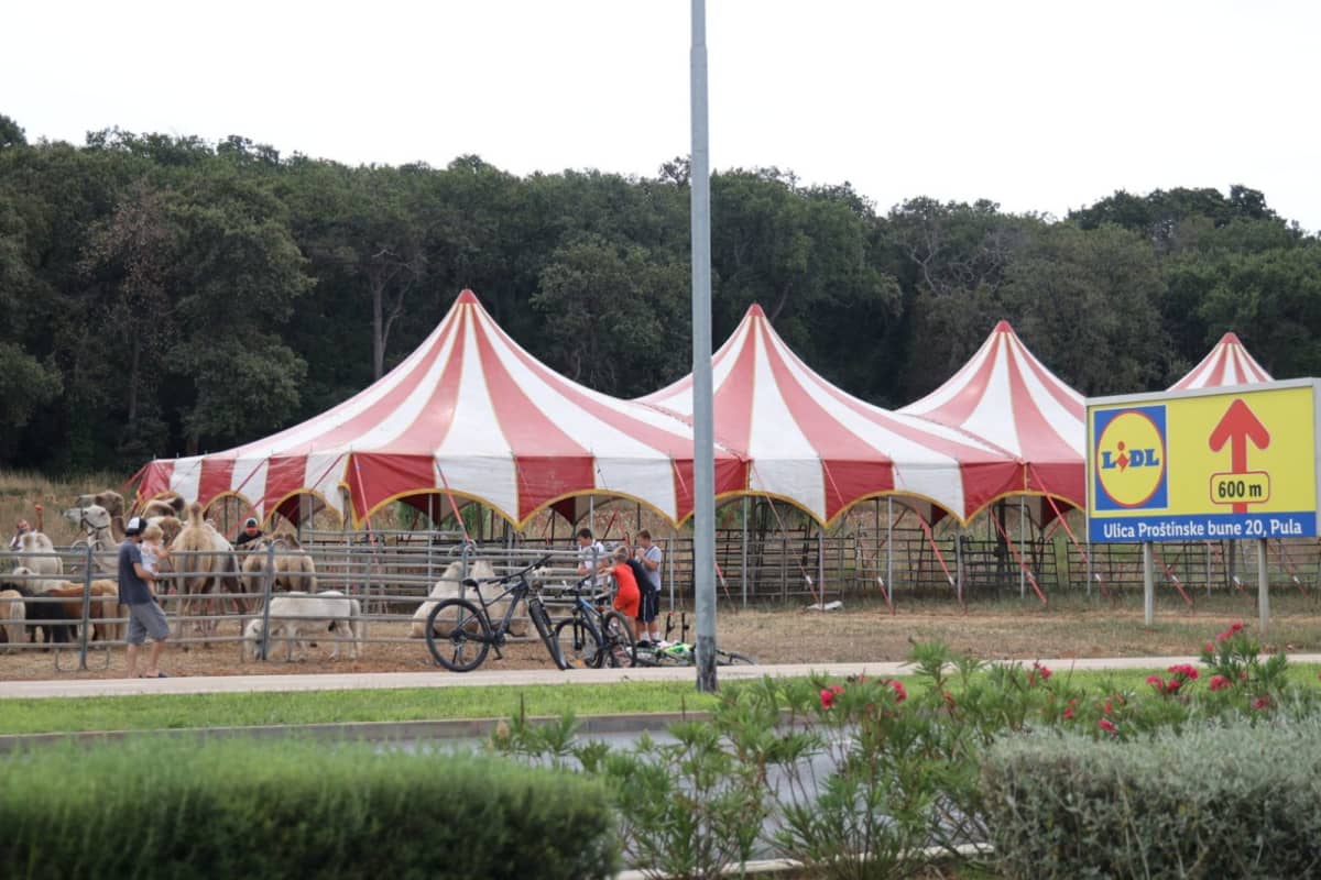 GRAD PULA: Cirkus se nalazi na državnom zemljištu. Grad im nije izdao ... GRAD PULA: Cirkus se nalazi na državnom zemljištu. Grad im nije izdao ...