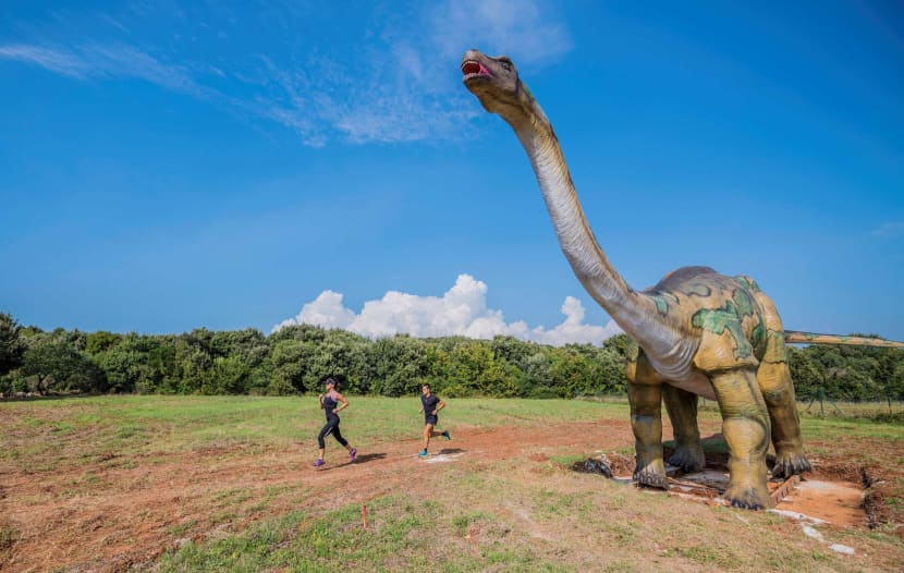 OUTDOOR U ISTRI: Savršena igrališta za svakog pustolova i outdoor ...