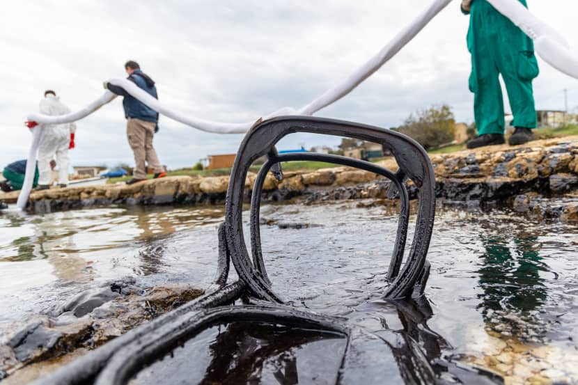 STRAŠNE POSLJEDICE NAFTE NA PTICE, MORSKE SISAVCE I RIBE Životinje ...